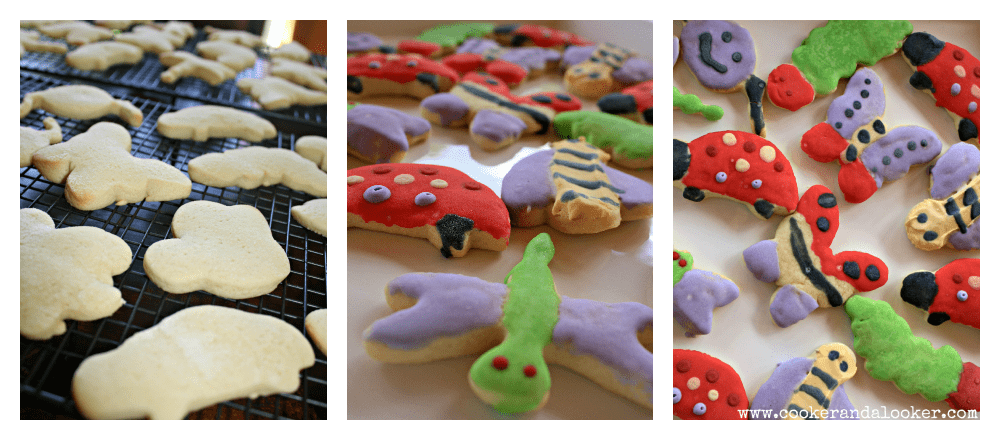 Buggy Good Party - the girl's insect birthday - Cooker and a Looker